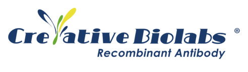 Recombinant Antibodies And Mimetics Database