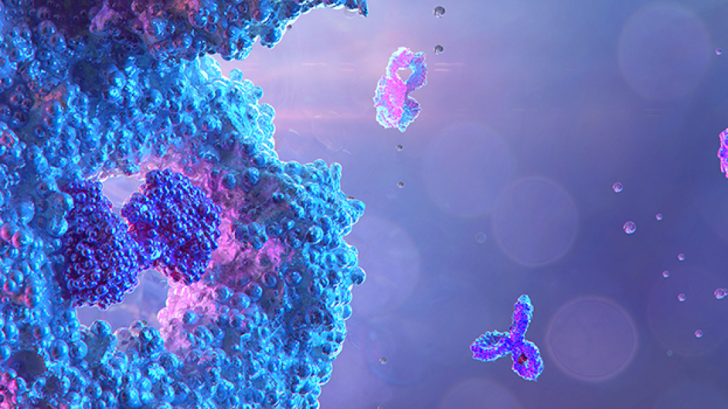 Recombinant Antibodies And Mimetics Database